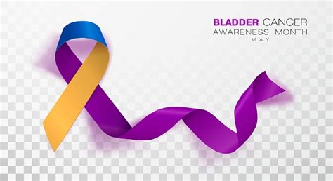 방광 암 인식의 달 메리 골드와 파란색과 보라색 컬러 리본은 투명 한 배경에 고립 포스터에 대 한 벡터 디자인 서식 파일입니다 방광암에 대한 스톡 벡터 아트 및 기타 이미지