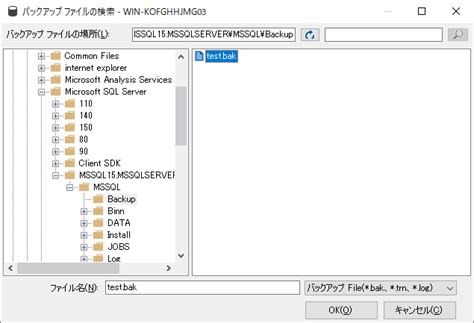 【sql Server】別データベースにデータベースフルバックアップをリストア 株式会社ヴァンデミックシステム