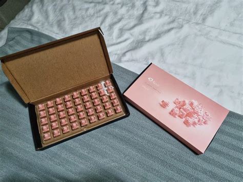 Akko Cs Sakura Switch 45pcs Computers And Tech Parts And Accessories Computer Keyboard On Carousell