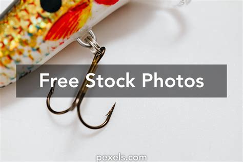 Water Triple Point Photos Download The Best Free Water Triple Point
