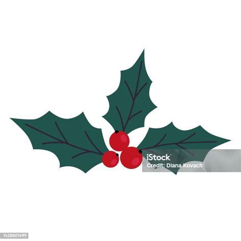 하얀 배경에 고립 된 나뭇잎과 열매로 크리스마스 홀리를 손으로 그렸습니다 장식 낙서 스케치 일러스트레이션 벡터 꽃 요소 12월에 대한 스톡 벡터 아트 및 기타 이미지