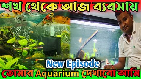 Aquarium Low Price Aquarium Shop In Rishra