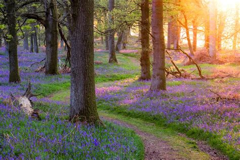 8 Week Mindful Self Compassion Course In Norwich Msc Uk