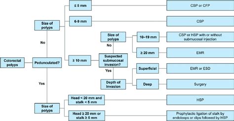 Recommended Resection Techniques For Colorectal Polyps Csp Cold Snare