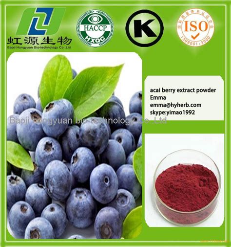 Acai Berry Extract Powder China Hongyuan Price Supplier Food