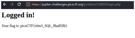 picoctf 2019 irish name repo 1