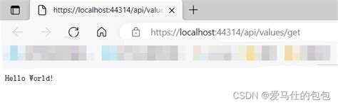 C Net Core Webapi简单创建及使用c Webapi Csdn博客