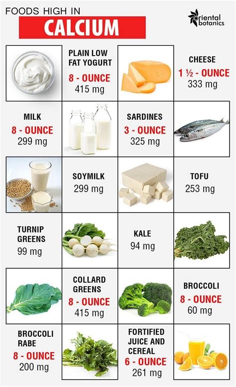 Printable High Calcium Foods Chart Calcium Rich Dairy Eating