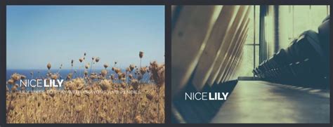 Great CSS Hover Effect Libraries And Code Snippet OnAirCode