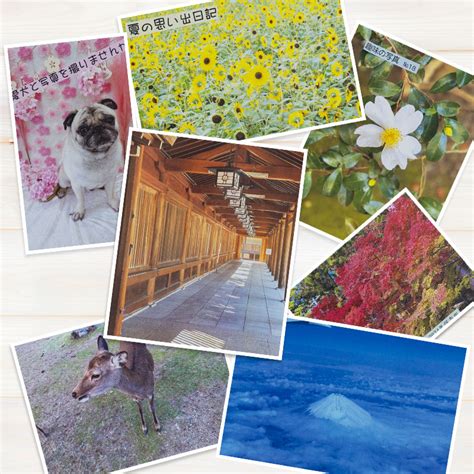 事業案内｜株式会社三進社