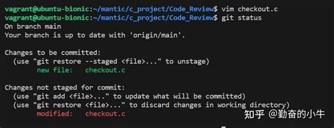 Git Checkout Reset Restore 的区别 分析 知乎