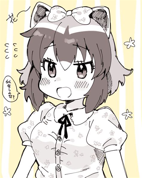 Common Raccoon Kemono Friends Drawn By Suicchonsuisui Danbooru