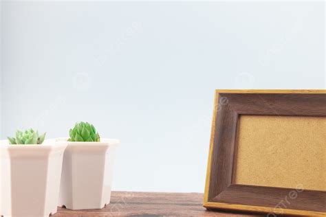 즙이 많은 바탕 화면 배경 화면 다육 식물 사진 프레임 집 화분에 심은 식물 배경 일러스트 및 사진 무료 다운로드 Pngtree