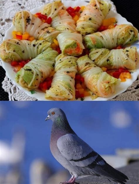 Create Meme Cabbage Rolls From Peking Cabbage Cabbage Rolls With