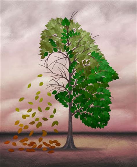 Stock Illustration Tree Shedding Leaves