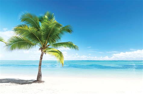 Caraibi - First Viaggi