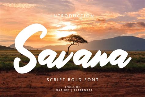 Savana Script Bold Font Bold Fonts Handwritten Fonts Brush Font