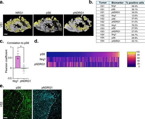 Quantitative Analysis Of Self Generated Heterogeneity In Human Download Scientific Diagram