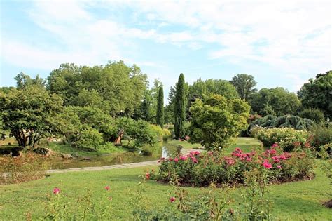 리옹roseraie Du Parc 드 라 단 Dor 0명에 대한 스톡 사진 및 기타 이미지 0명 공원 꽃 식물 Istock