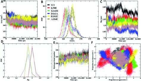sasa and rg analysis between wt and mutants of ttbk2 a sasa