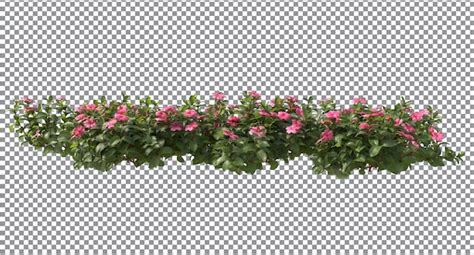 다양한 종류의 나무 작은 식물 덤불 관목 및 꽃 격리 프리미엄 Psd 파일