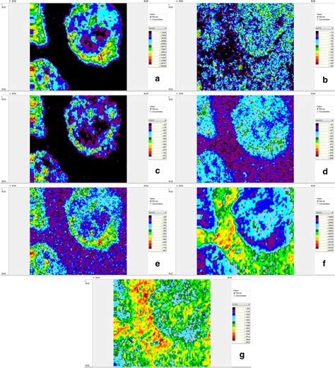 µ Xrf Elemental Distribution Plots For The Green Feather On Aein 1048