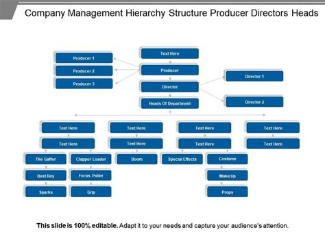 Company Management Hierarchy Hierarchy Structure Eroppa