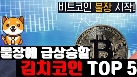 불장에 급상승할 김치코인 밈코인 Top5 김치코인 봐야하는 이유 Youtube