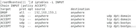 iptables详解链表表链关系规则的基本使用 iptables nvl 讲解 CSDN博客