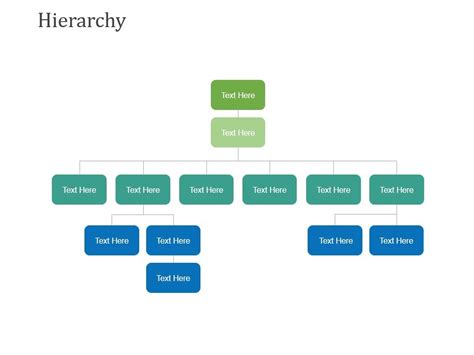 Hierarchy Ppt Powerpoint Presentation Layouts Clipart
