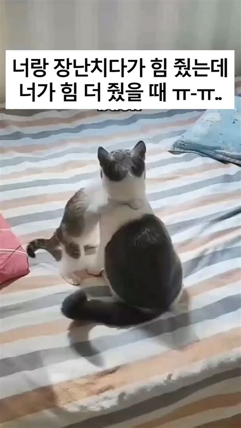 Love For My Life 너무 예쁘잖아~~~ 💕 커플 남친 여친 데이트 럽스타그램 연애 사랑
