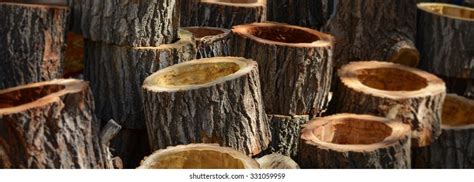 Tree Stump Flower Pots Images Stock Photos Vectors Shutterstock