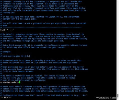 企业级nosql数据库redis集群 csdn博客