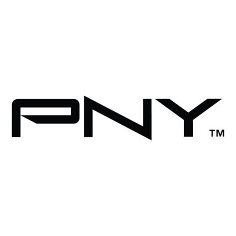 PNY Logo PNG Vector (AI) Free Download