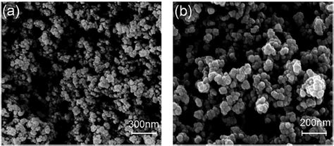 Sem Of Csio2 Composite Aerogel Before A And After B Heat Treatment