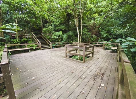 北市踏青新去處 富陽自然生態公園的秘境探索之旅