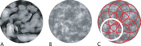 Figure 11 From Statistical Templates For Visual Search Semantic Scholar