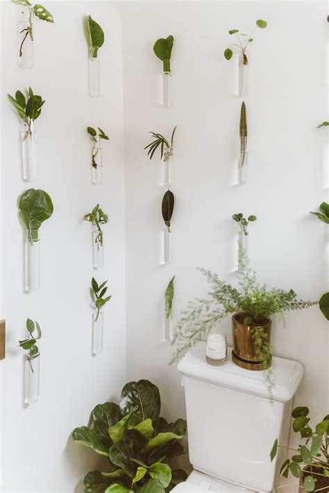 My Propagation Wall Diy Tips Artofit