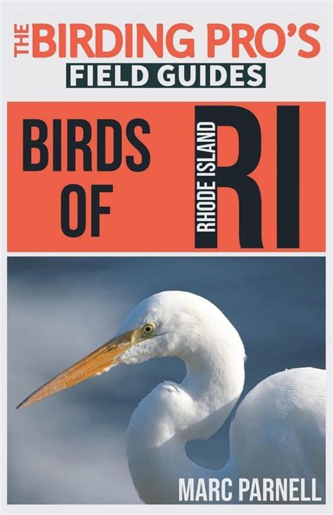 Birds Of Rhode Island Nhbs Field Guides And Natural History