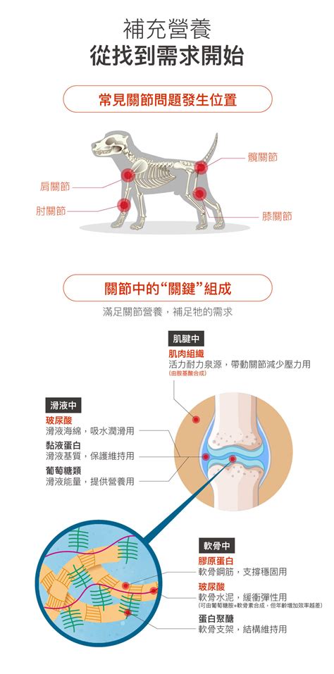 木入森老狗精選組合狗狗膝蓋關節 心臟保健 木入森Moreson寵物保健食品全方位守護毛孩健康