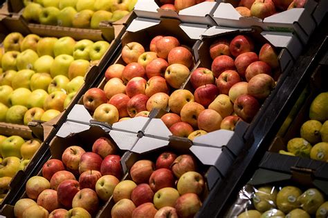 Better Data Means Better Policy The Dispatch