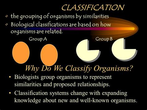 Unit Iv Diversity Of Living Things Scientific Classification Ppt Video Online Download