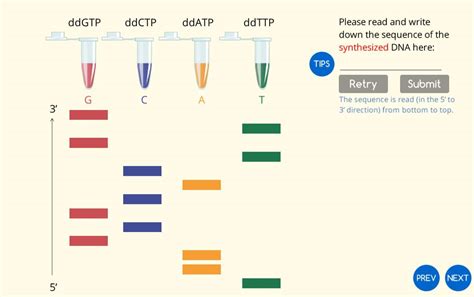 Solved Ddgtp Ddctp Ddatp Ddttp Please Read And Write Down