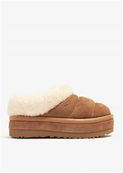 Ugg Tazzlita Slippers For Women Brown In Ksa Level Shoes