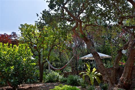 25 Low Maintenance Landscaping Ideas—from Artificial Turf To