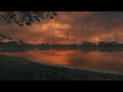 Живые обои Закат на берегу озера скачать на