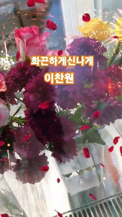 화끈하게신나게 이찬원 💃💃👯‍♂️👯‍♂️🌸🌸 Youtube