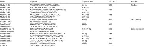 Primers Used For Amplification In The Present Study Download
