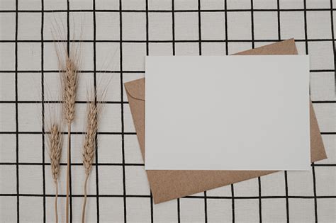 보리 드라이 플라워와 블랙 그리드 패턴의 흰색 천에 판지 상자갈색 종이 봉투에 빈 백서 수평 빈 인사말 카드의 모형 크래프트