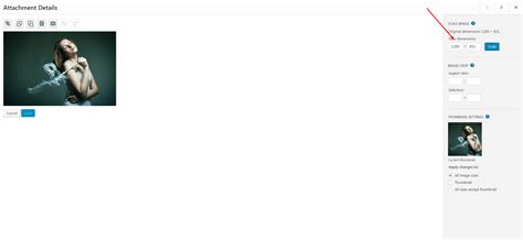 How To Optimize Images For WordPress RadiusTheme